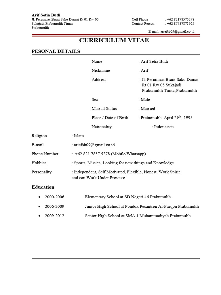Curriculum Vitae Arief SB | PDF