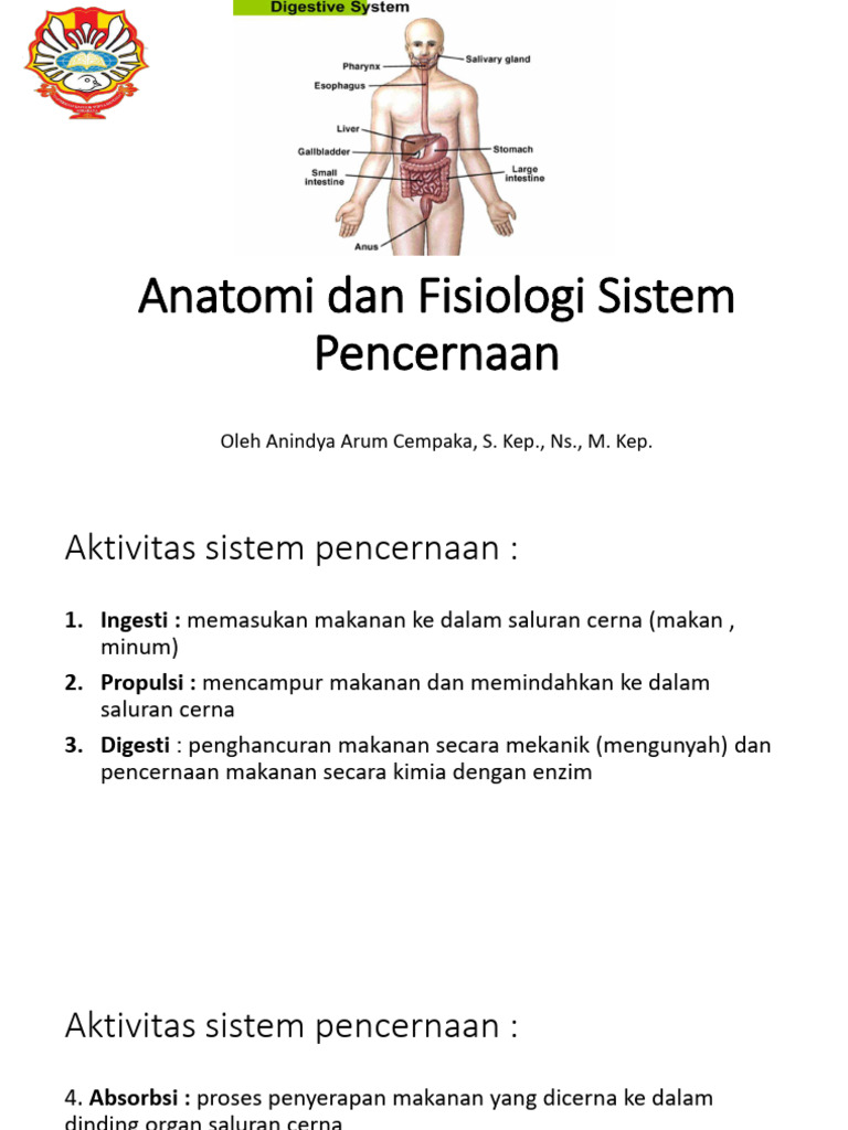 Anatomi & Fisiologi Sistem Pencernaan | PDF