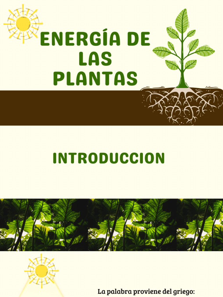 Energia de Las Plantas | PDF
