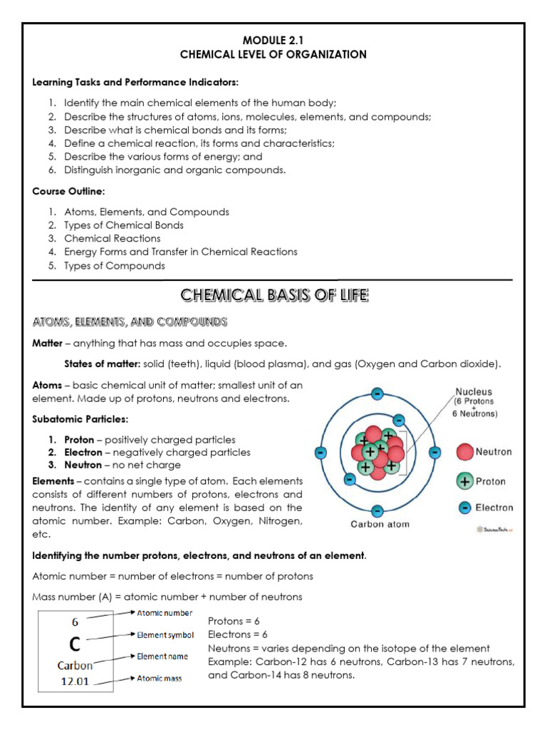 MODULE 2.1 Chemical Level of Organization | PDF