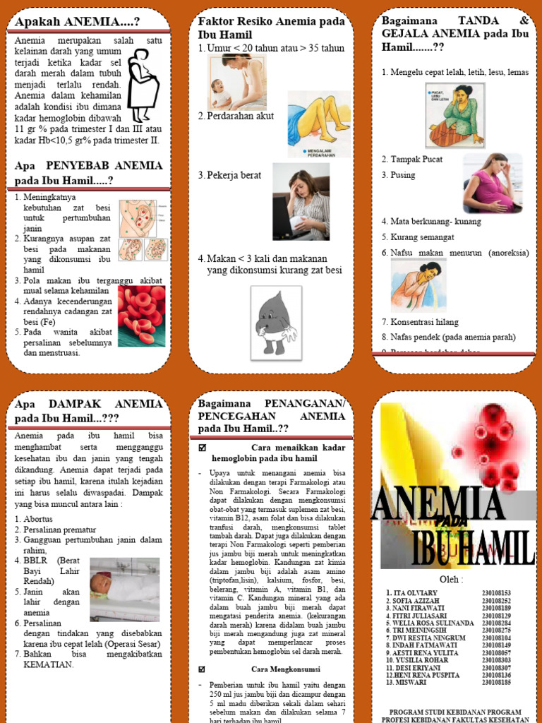 Leaflet Anemia Pada Ibu Hamil | PDF