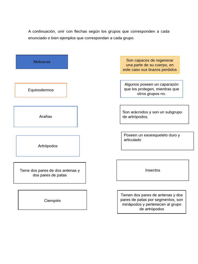 Actividad de Unir Con Flechas | PDF