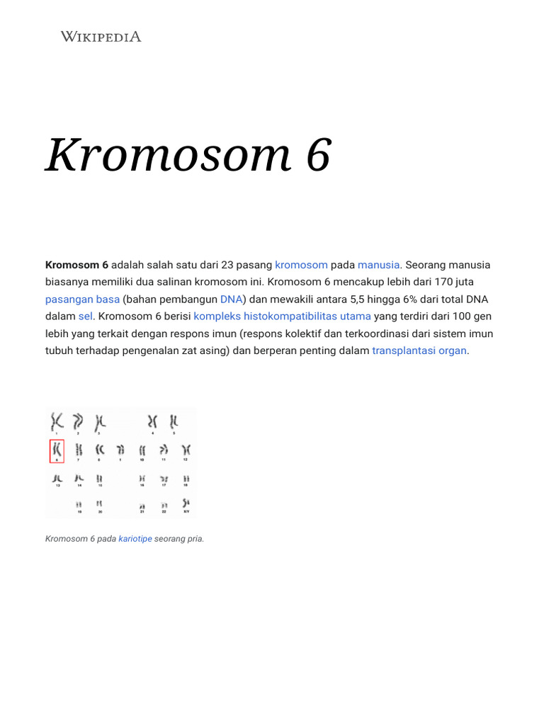 Kromosom 6 - Wikipedia Bahasa Indonesia, Ensiklopedia Bebas | PDF