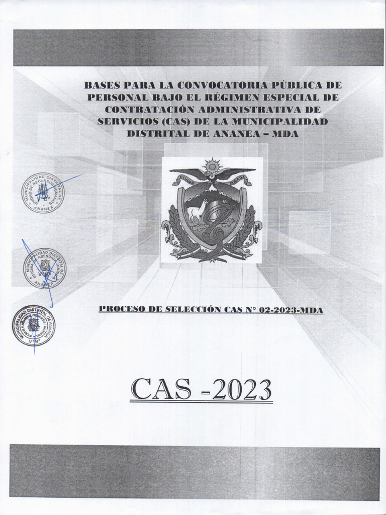 Bases Proceso Cas Nro 02 2023 Mda | PDF Bases Proceso Cas Nro 02 2023 Mda | PDF