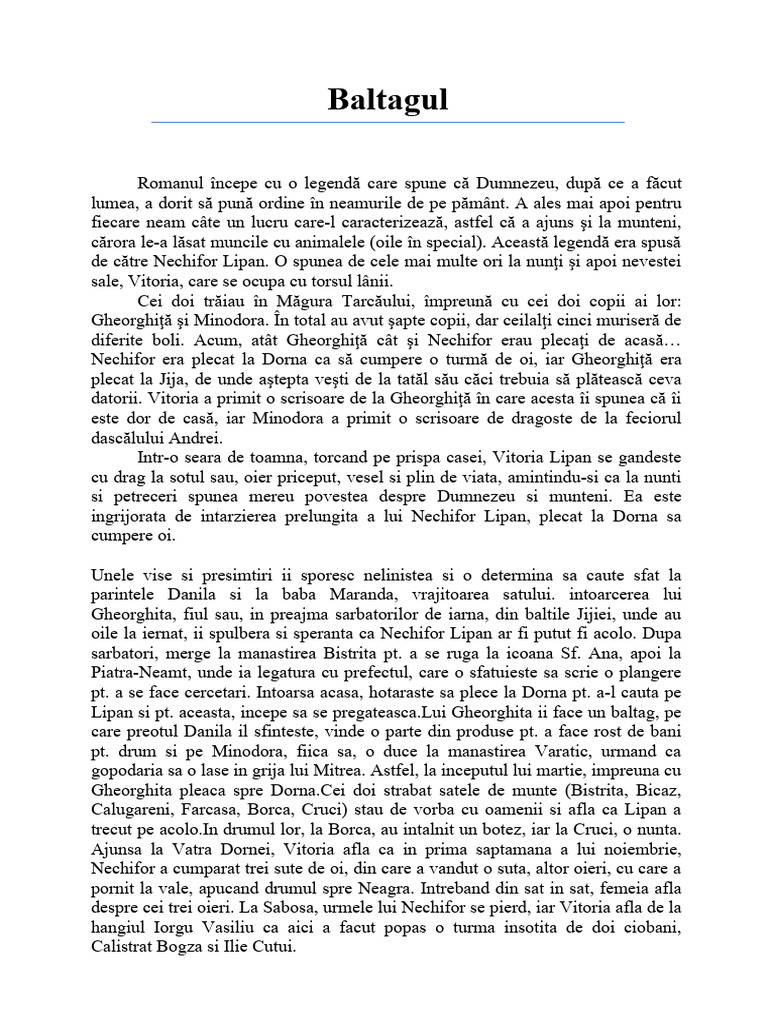 Baltagul Rezumat | PDF