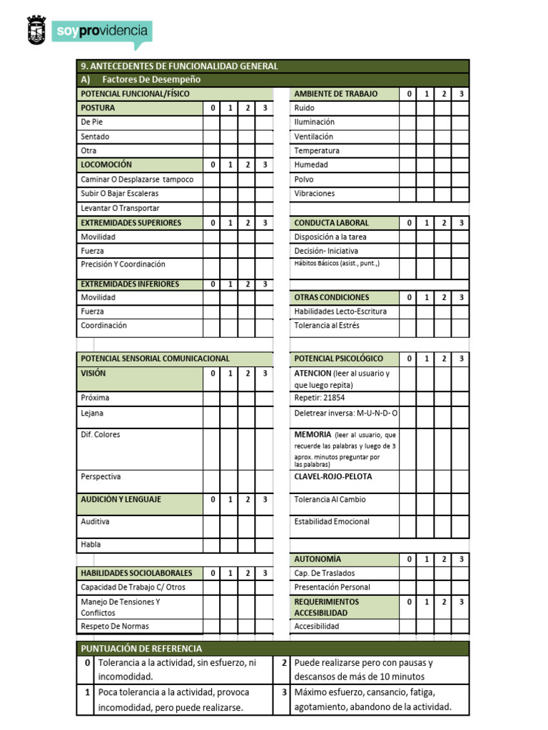 Pauta Evaluación Funcional | PDF