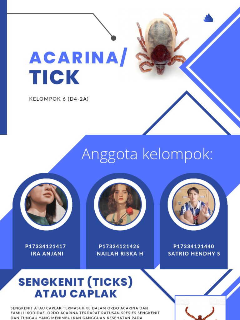 Kelompok 6 Ticks | PDF