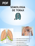 Semiología de Tórax Completo | PDF | Fisiología | Tórax (anatomía humana)