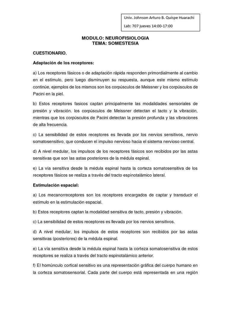 Somestesia: Receptores y Vías Sensoriales | PDF