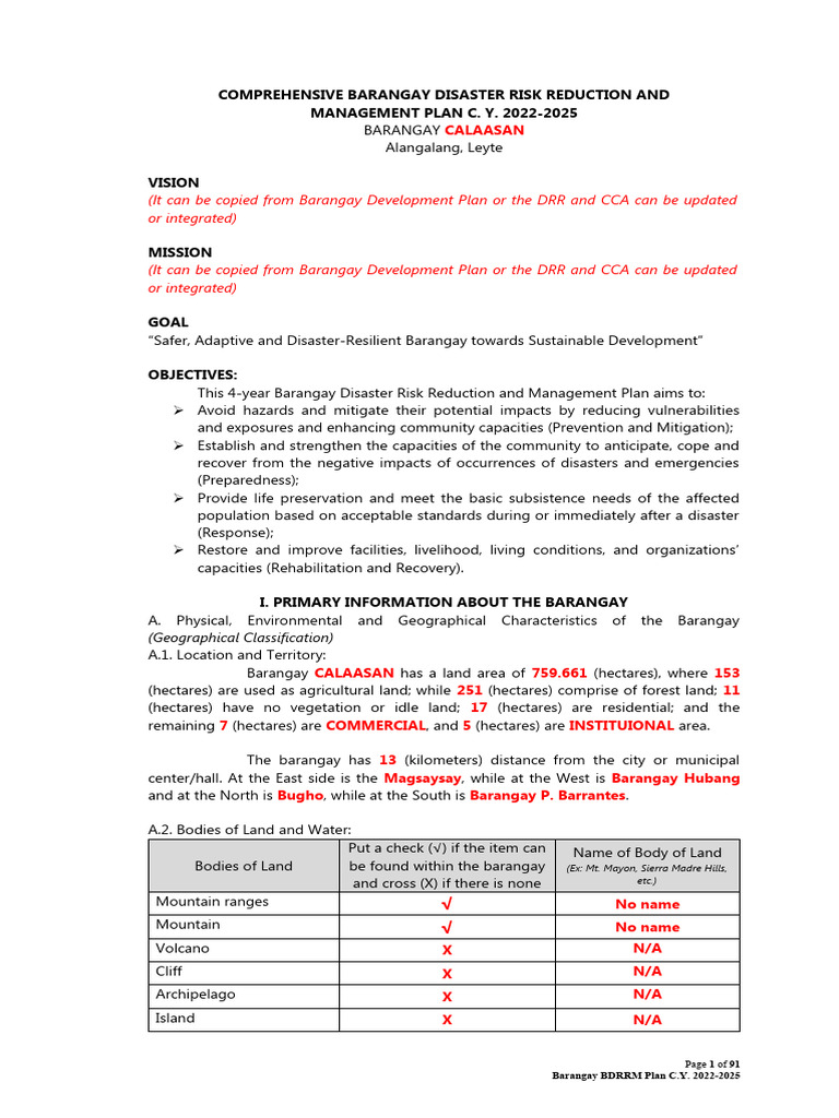 CBDRRM Final Template | PDF