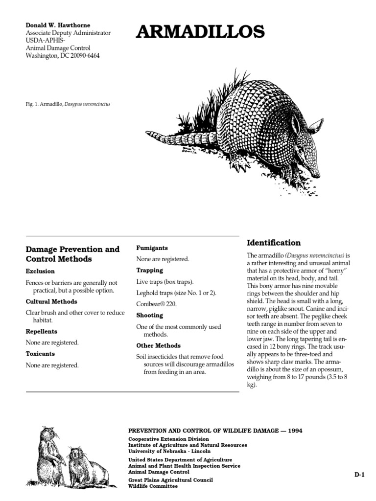 Armadillo Control | PDF
