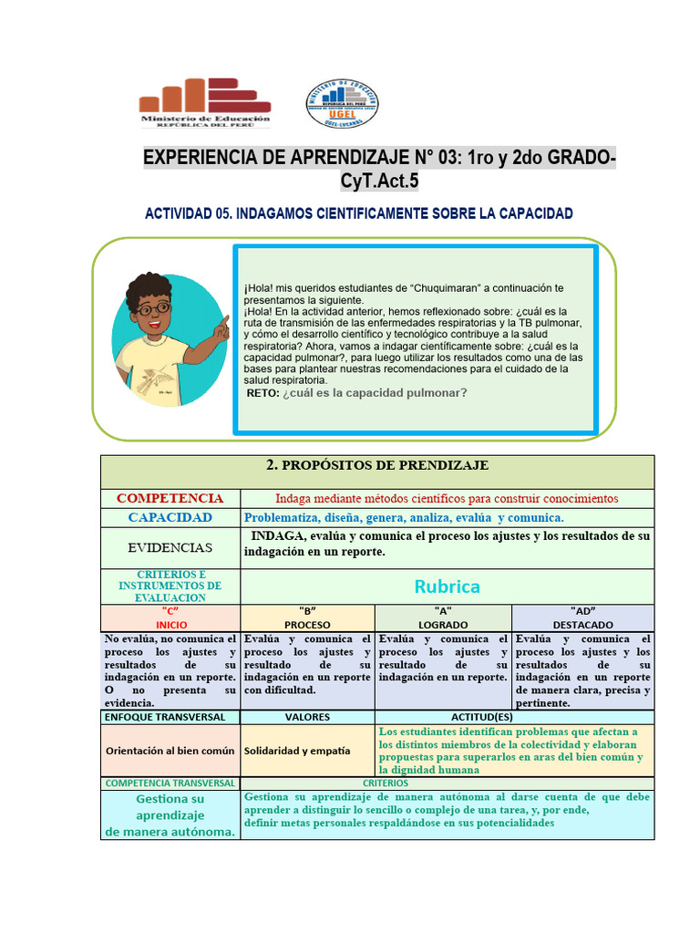 ELENA EXPERIENCIA 3-A5 CyT-1ro y 2do | PDF