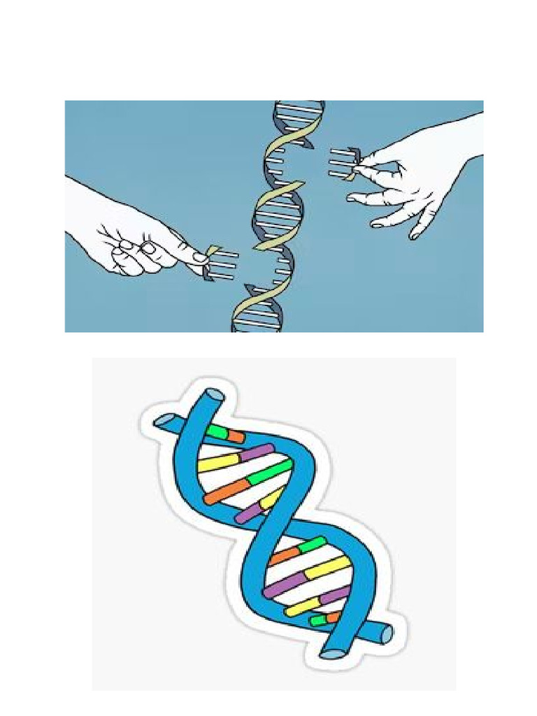El Genoma Humano Es La Secuencia de ADN Contenida en 23 Pares de ...