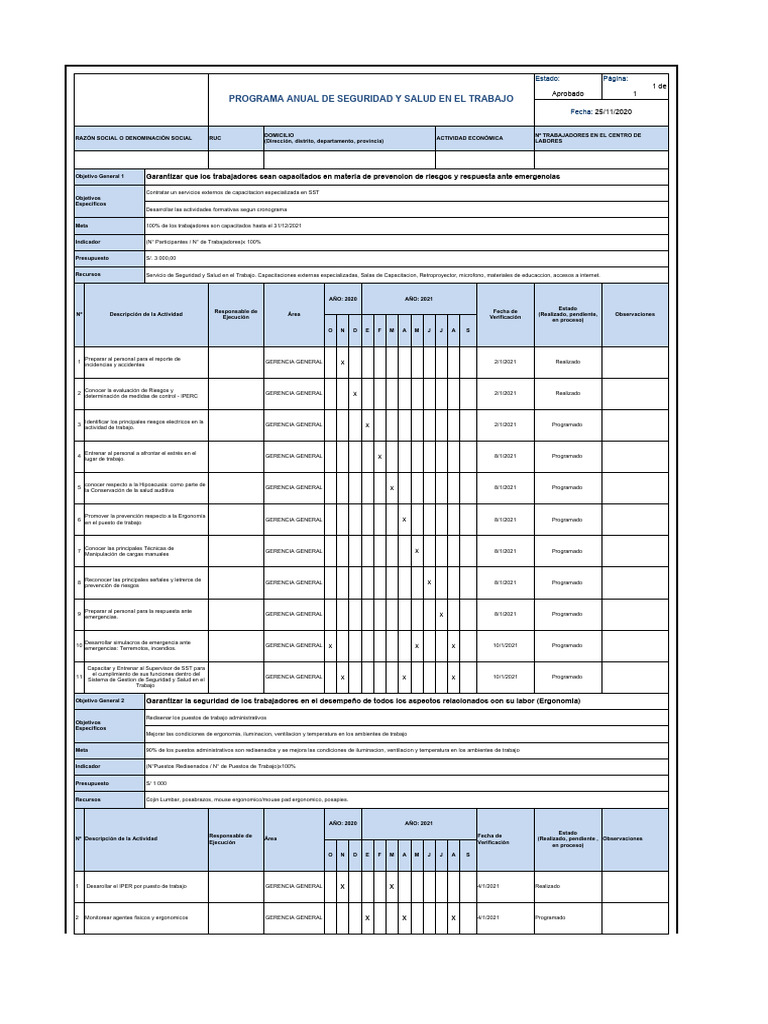 Programa Anual de Seguridad y Salud en El Trabajo-2020-2021 | PDF