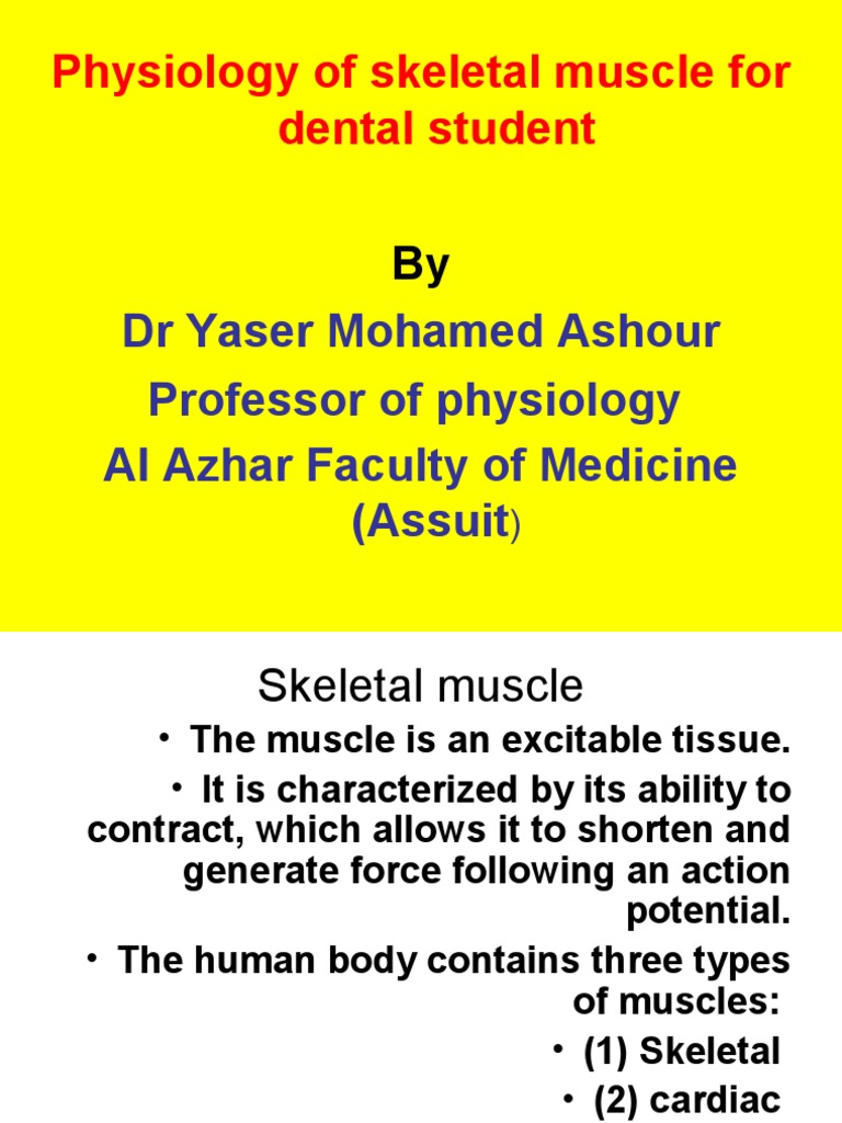 Muscle Dental | PDF | Muscle Contraction | Skeletal Muscle