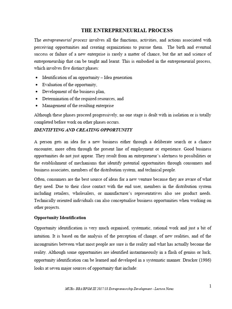 Entrepreneurial Process | PDF