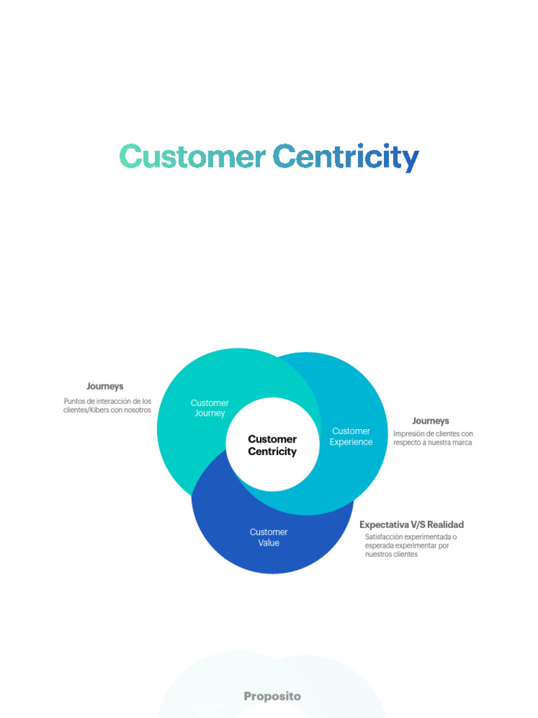 Customer Centricity | PDF