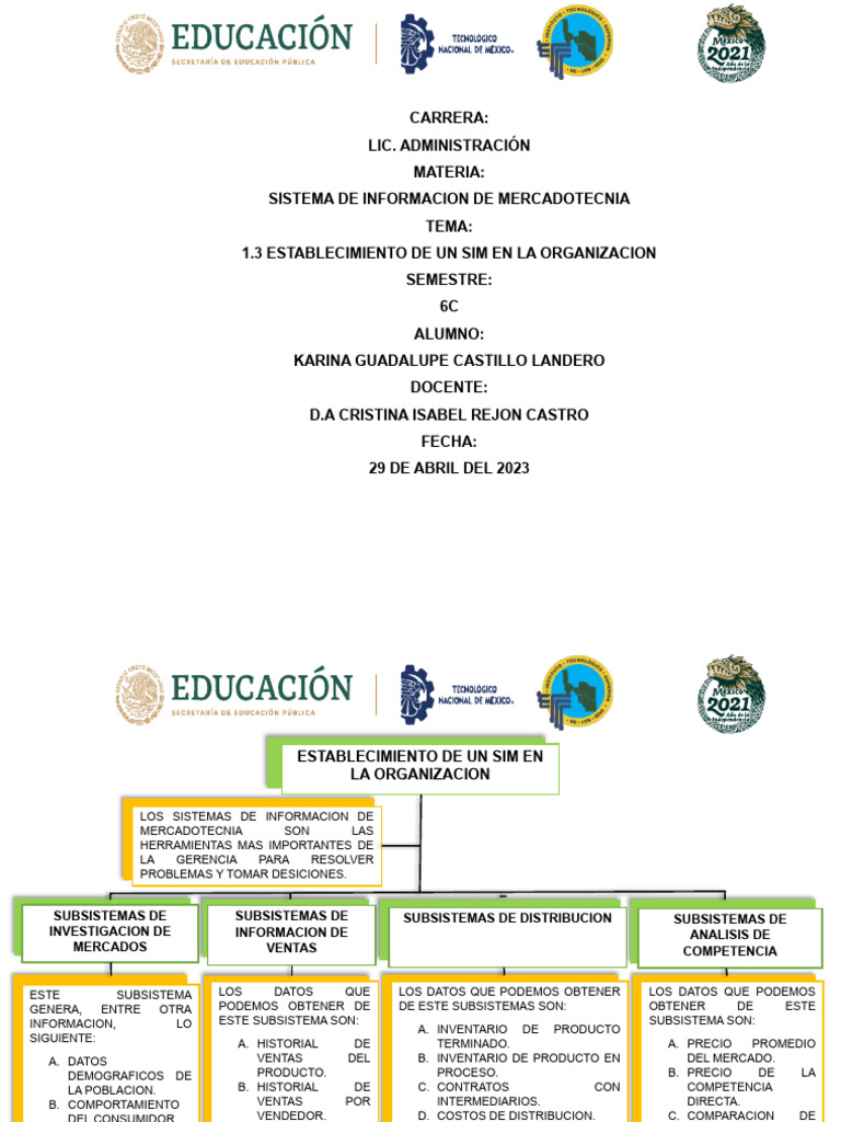 Mapa Conceptual - Establecimiento de Un Sim en La Organizacion - Karina Guadalupe Castillo ...