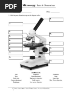 Name: Virtual Microscope by BIONETWORK: Online Edition | PDF | Optical ...