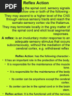 Butler Technique Study | PDF | Nervous System | Nerve