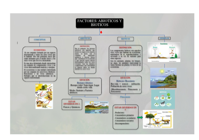 Mapa Conseptual de Factores de Bioticos y Abioticos | PDF | Ecosistema | Ecología de sistemas