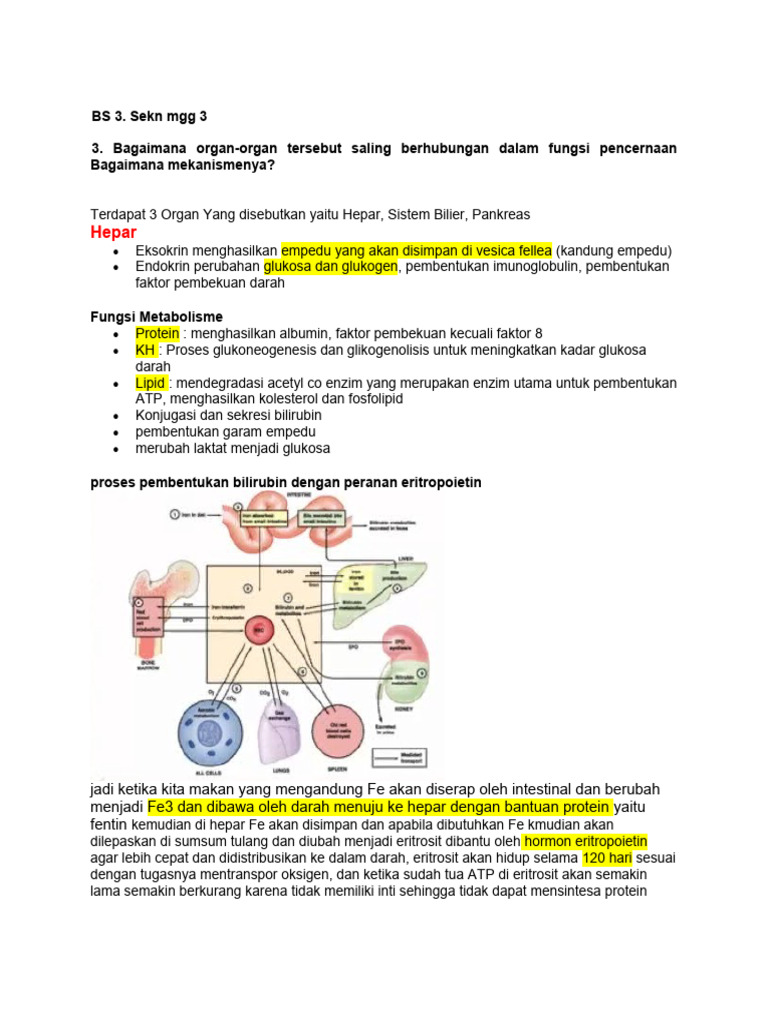 BS 3 Sken Minggu 3 | PDF