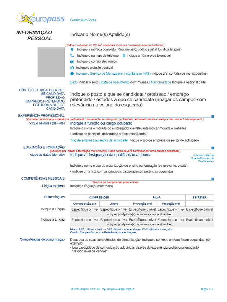 CVITAE - Europass | PDF
