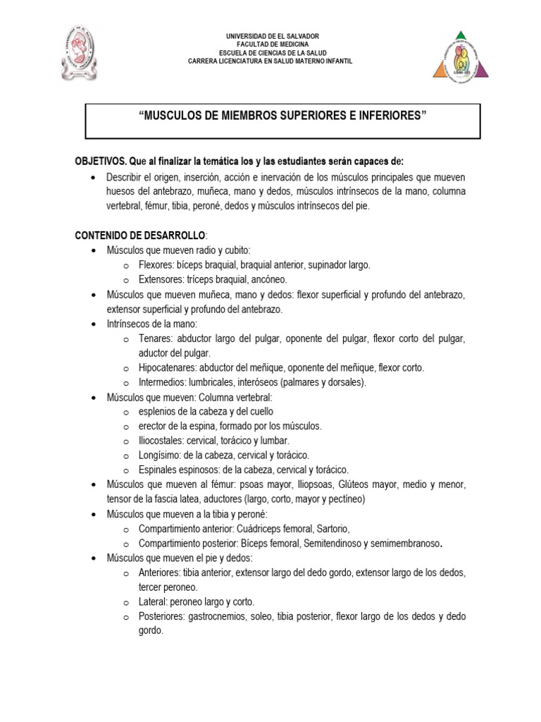 Guía Sistema Muscular 3 | PDF | Mano | Tejido suave