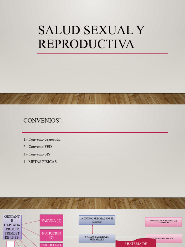 Salud Sexual Y Reproductiva Pdf