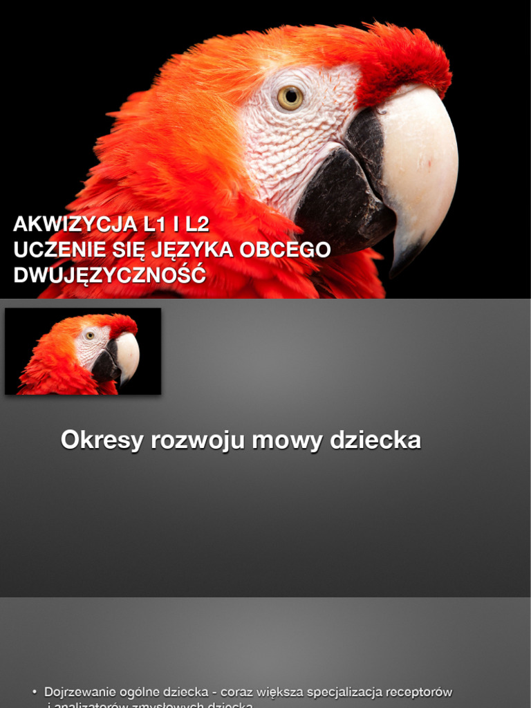 PRZYSWAJANIE DRUGIEGO JĘZYKA catf | PDF