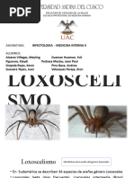 Loxoscelismo: Evaluación y Tratamiento | PDF | Araña | Especialidades ...