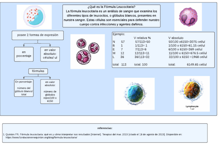 Interpretación de Fórmula Leucocitaria | PDF | Leucocito | Sangre