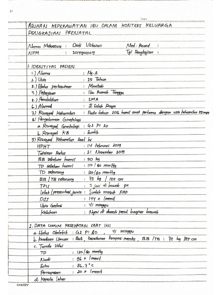 LK Persalinan Normal Minggu 1 Diati Vistasari | PDF