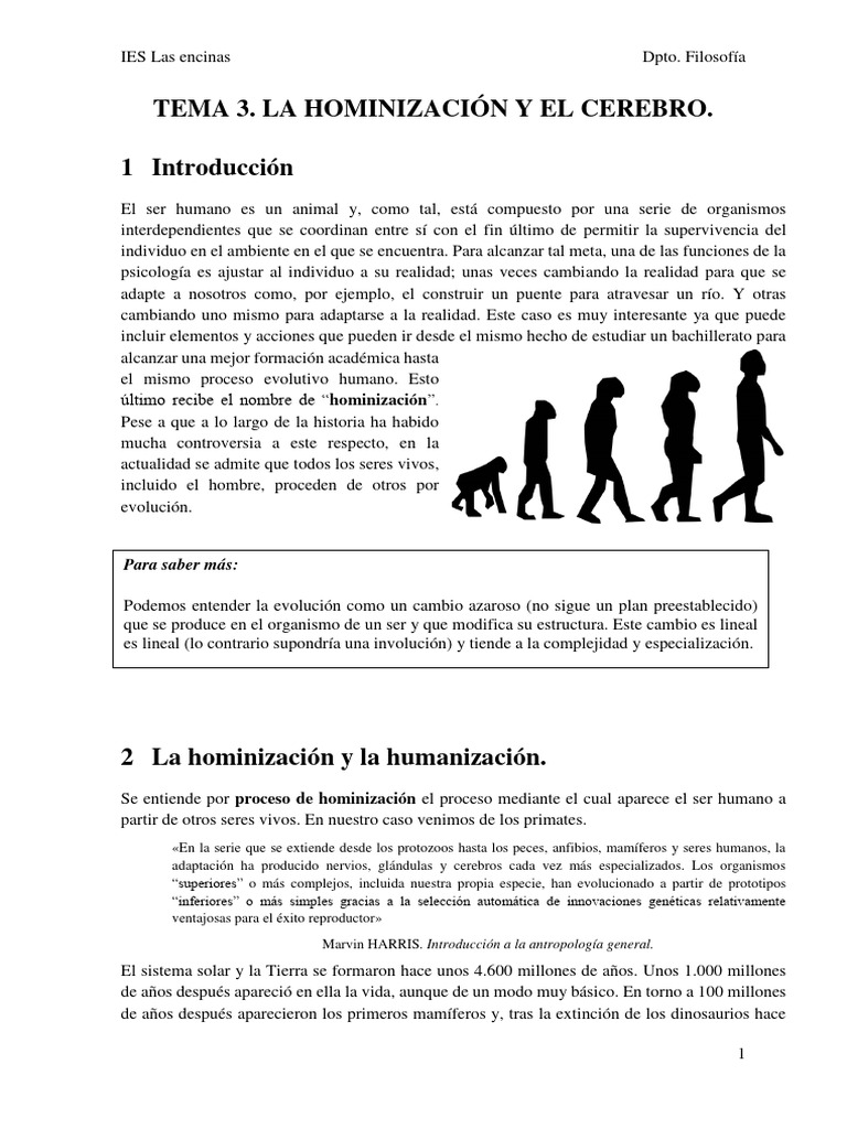 PS - TEMA 3. La Humanizacion y El Cerebro | PDF