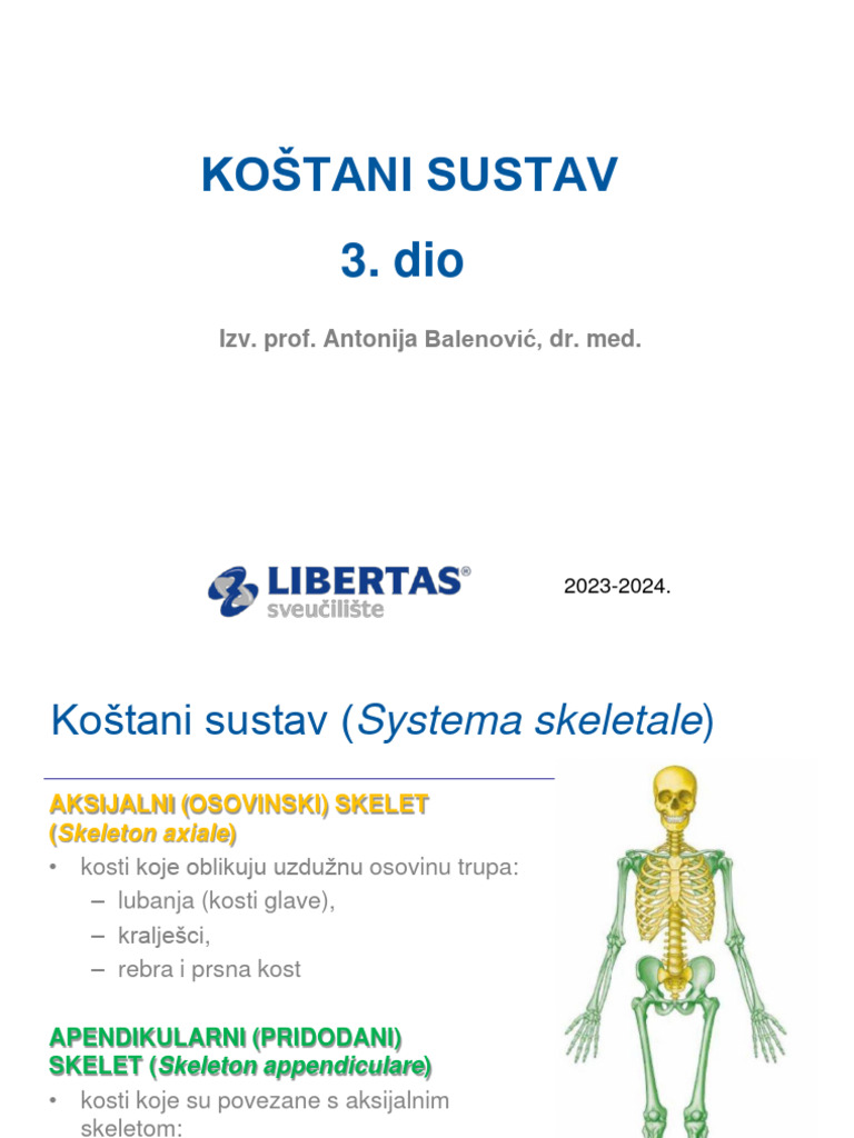 Antonija Balenović Anatomija KOSTI 3 | PDF