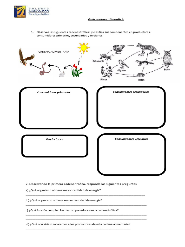 Guia Cadena Alimenticia 2023 | PDF