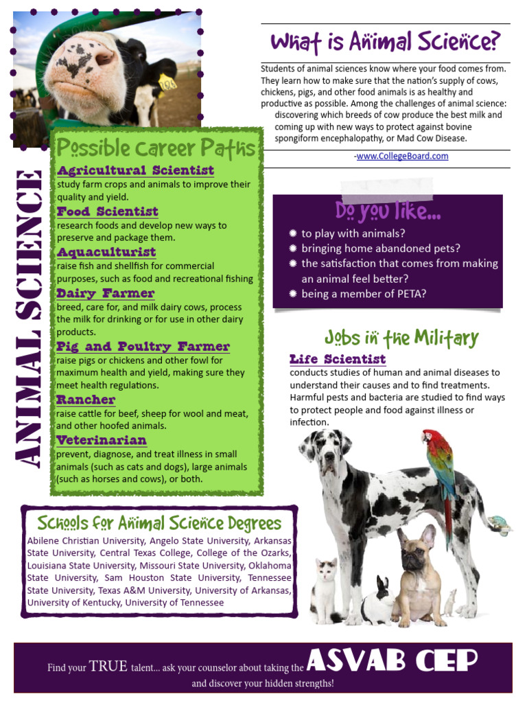 Animal Science Career Flyer | PDF | Cattle | Milk