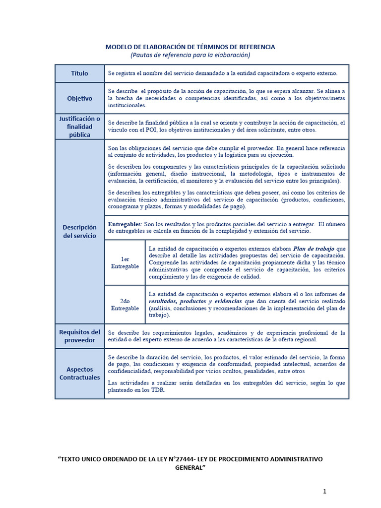 Estructura y Modelo de TDR | PDF