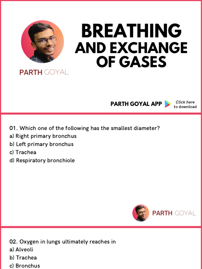 Breathing and Gas Exchange Quiz | PDF | Respiratory Tract | Lung