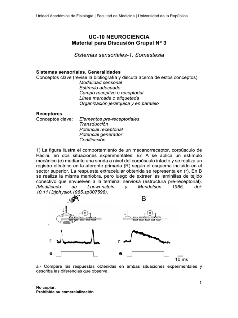 Sistemas Sensoriales: Somestesia y Dolor | PDF