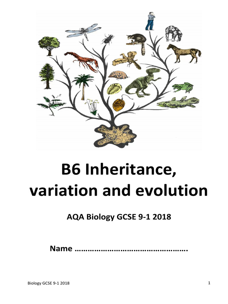 b6 Inheritance Notes Biology Triple | PDF