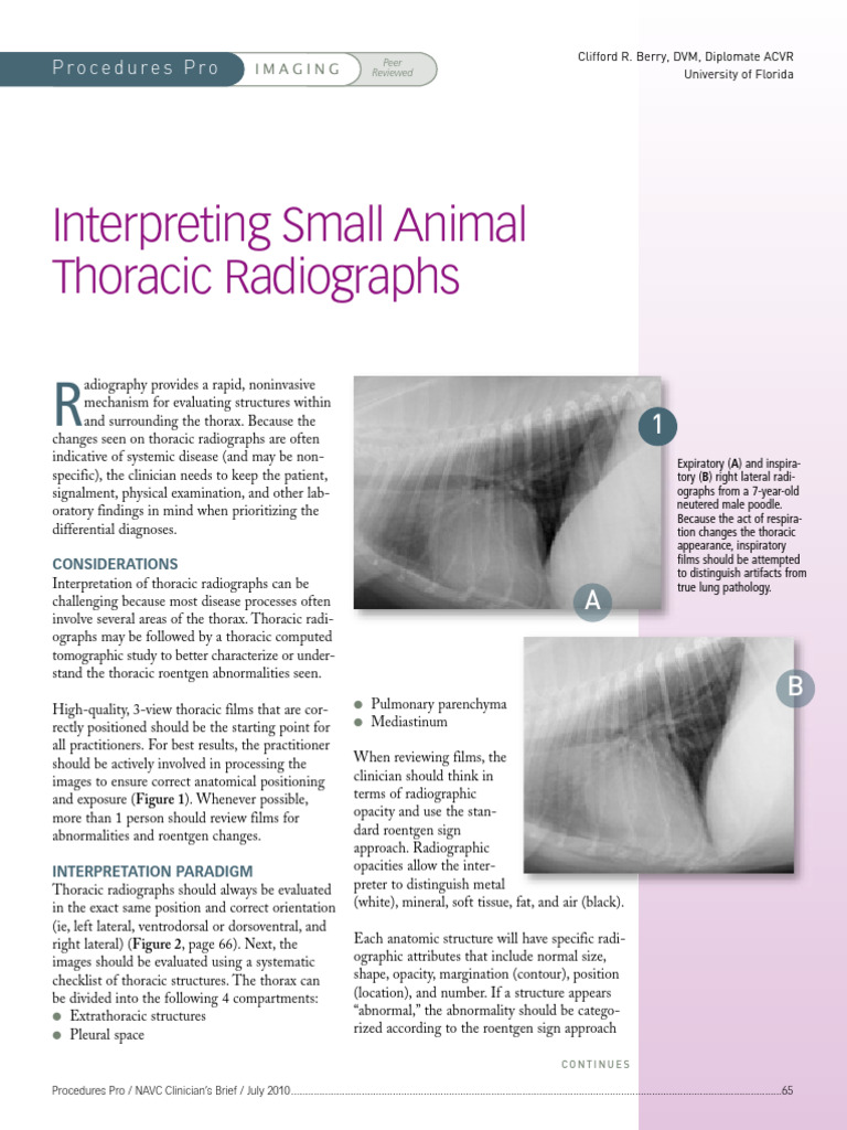 Interpreting Small Animal Thoracic Radiographs | PDF