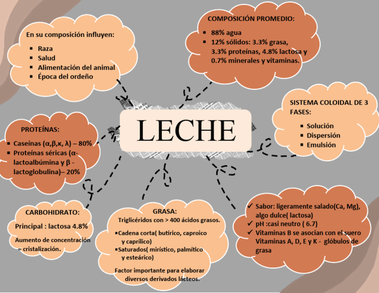 Leche - Mapa Mental | PDF