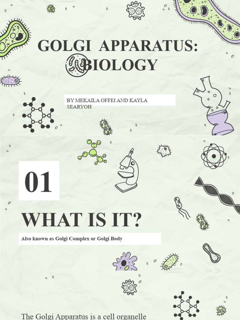 Understanding the Golgi Apparatus | PDF | Science & Mathematics ...