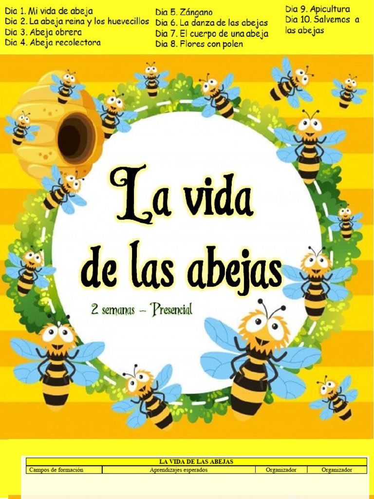 La Vida de Las Abejas - Presencial | PDF | Abejas | Apicultura