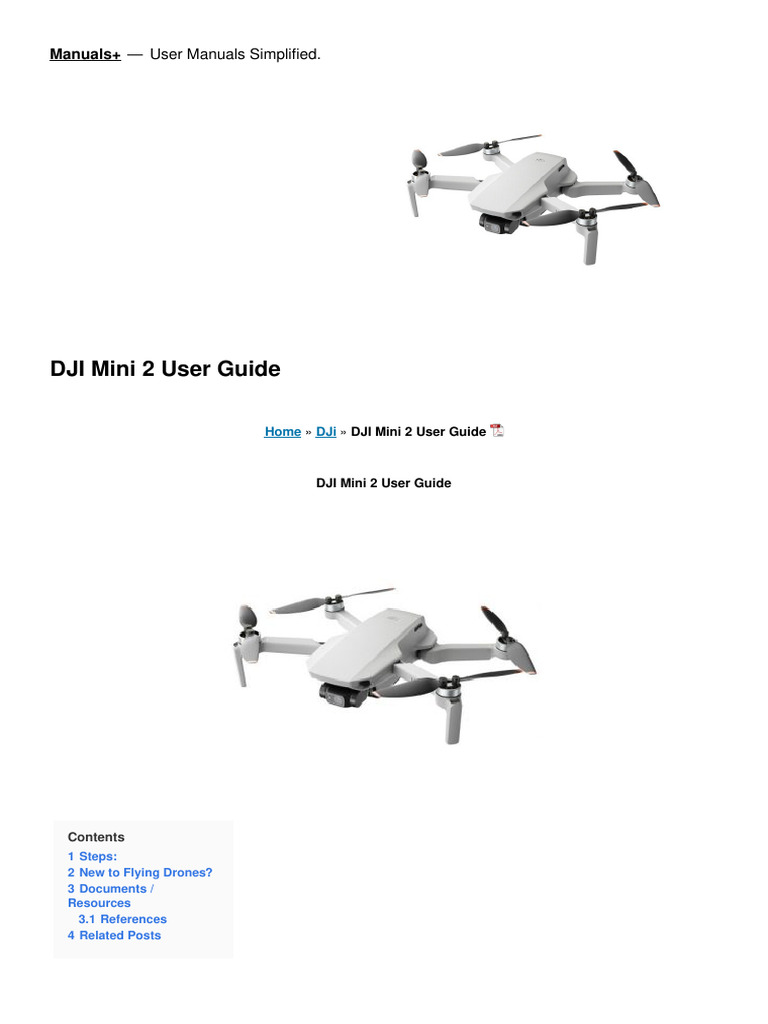 DJI Mini 2 User Guide | PDF