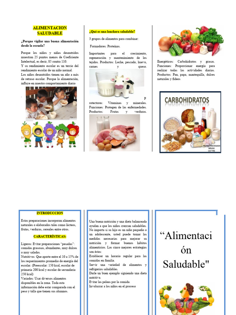 Triptico de Alimentacion Saludable 5 | PDF