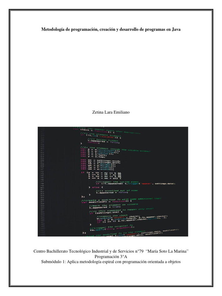 APA Resolucion de Problemas en JAVA | PDF