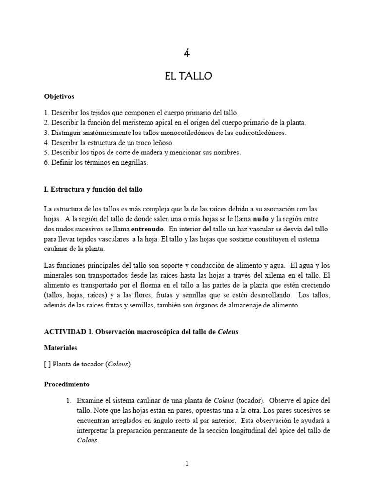 Anatomía y Función del Tallo en Plantas | PDF | Tallo de la planta | Raíz