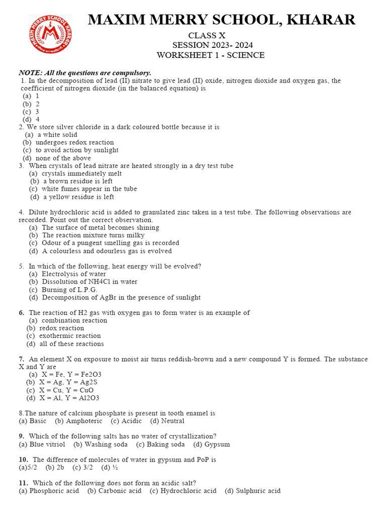CLASS 10 Science Worksheet (2023-24) | PDF | Hydroxide | Chemical Reactions